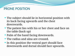 Anatomical positions and terminologies. | PPT