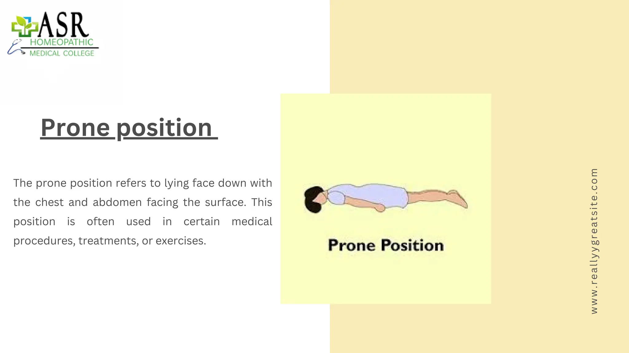 Anatomical positions Supine and prone position | PPT