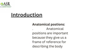 Anatomical positions Supine and prone position | PPT