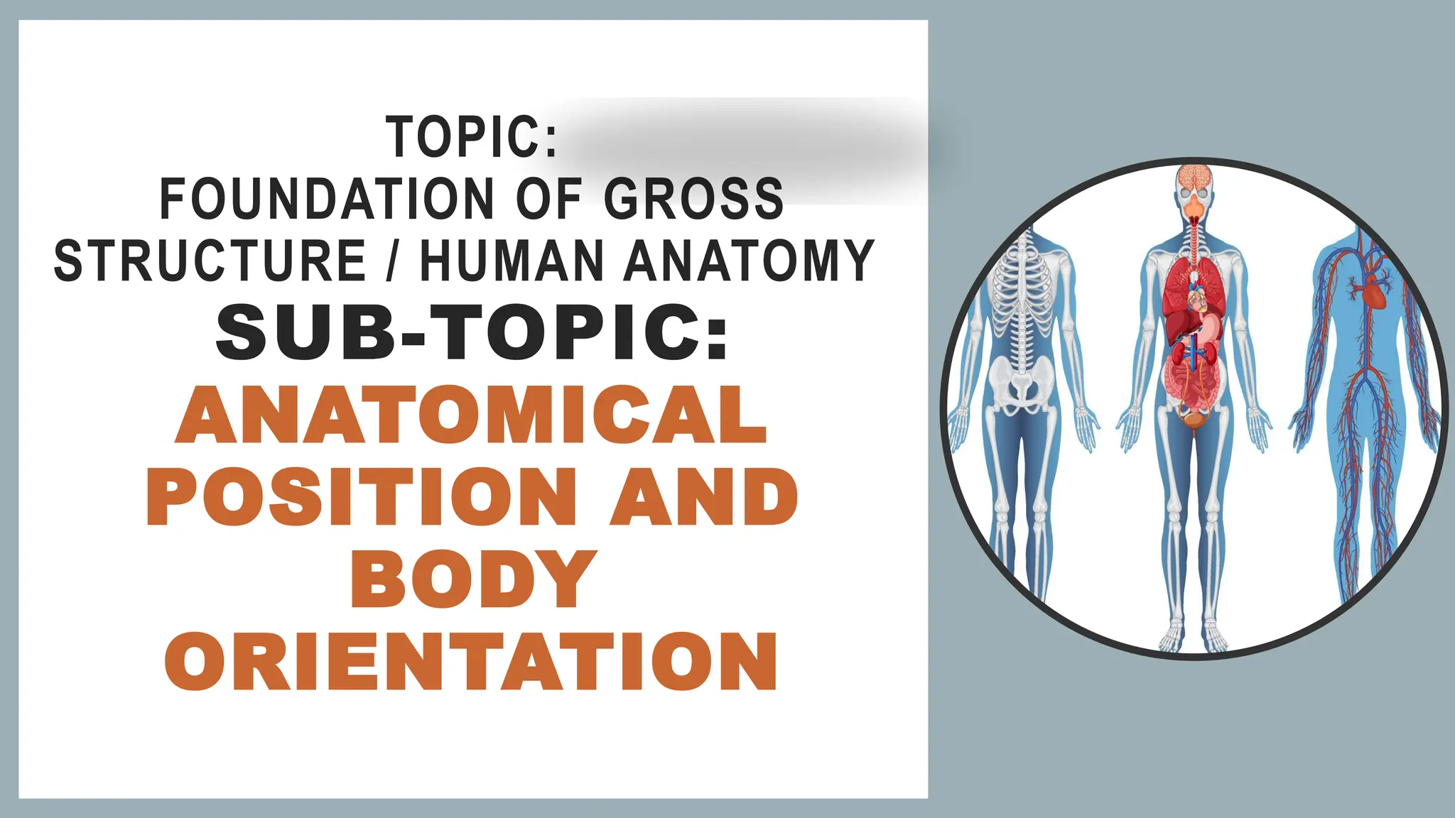 ANATOMICAL POSITIONS AND DIRECTIONAL TERMS.pptx