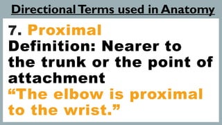 ANATOMICAL POSITIONS AND DIRECTIONAL TERMS.pptx