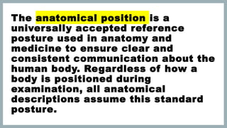 ANATOMICAL POSITIONS AND DIRECTIONAL TERMS.pptx
