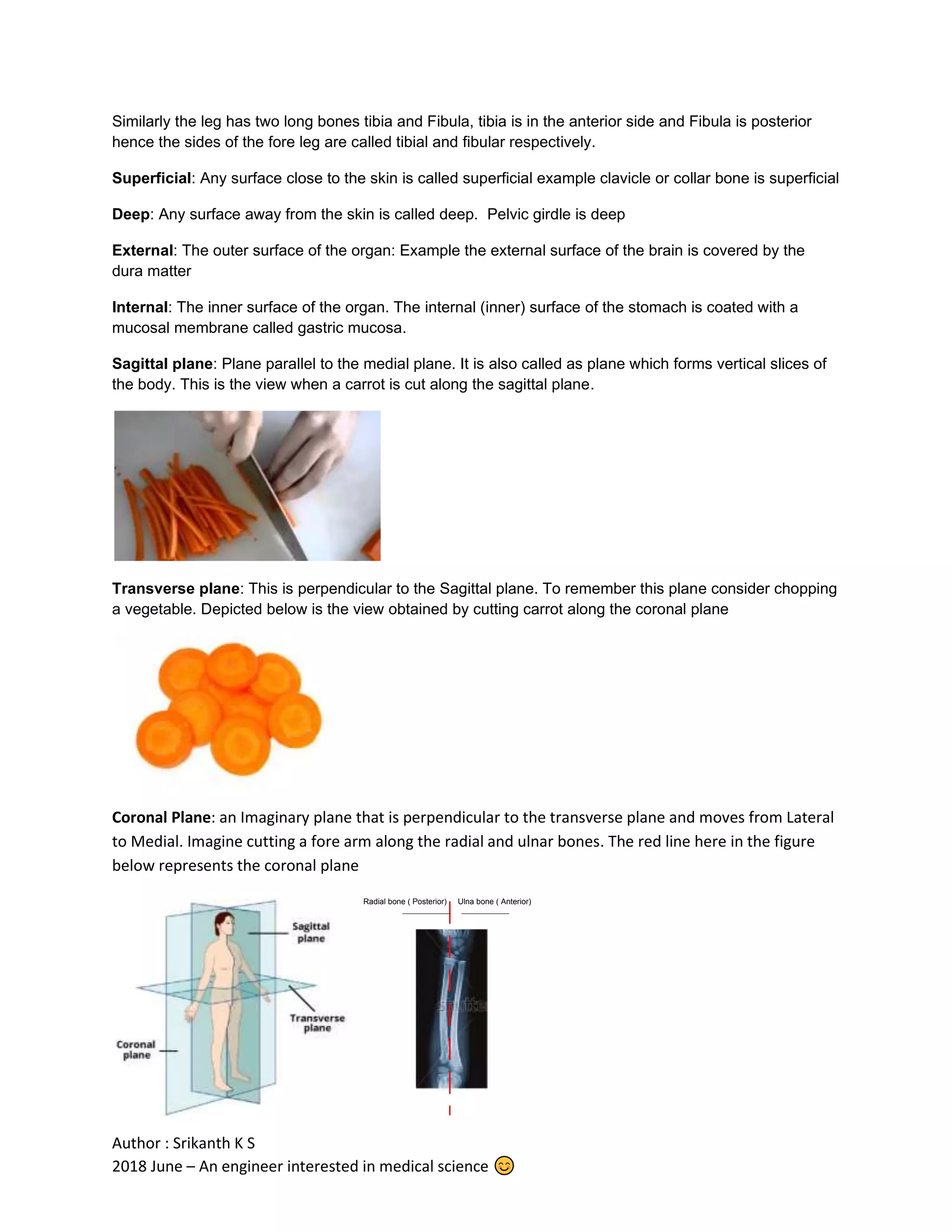 Anatomical positions and examples | PDF