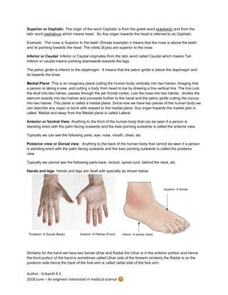 Anatomical positions and examples | PDF