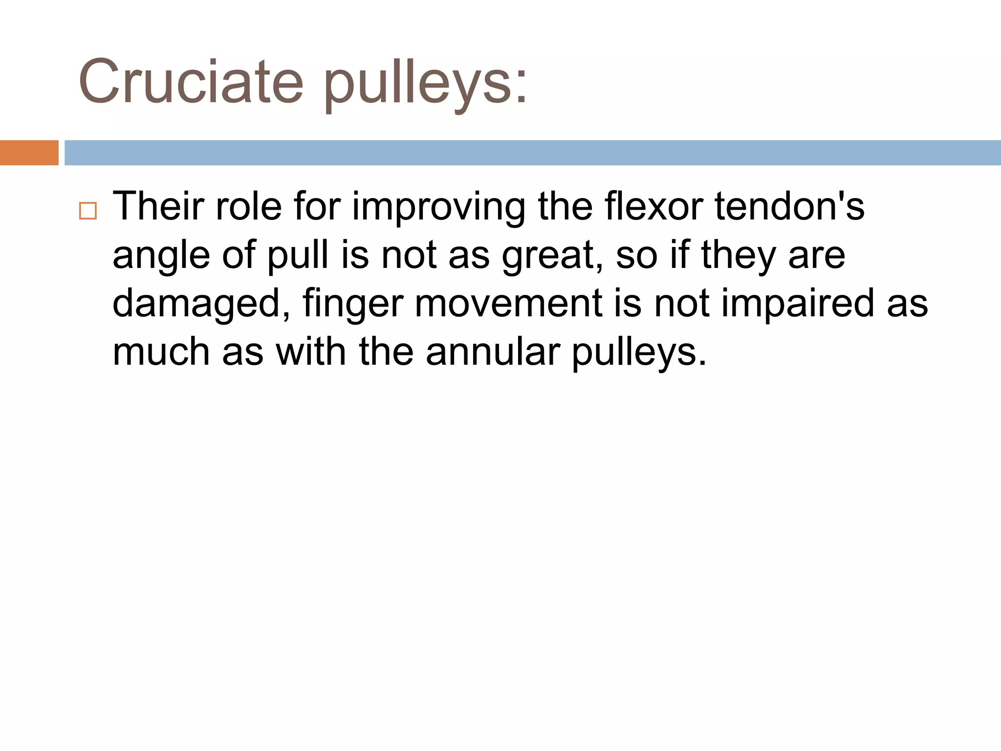ANATOMICAL PULLEYS.ppt