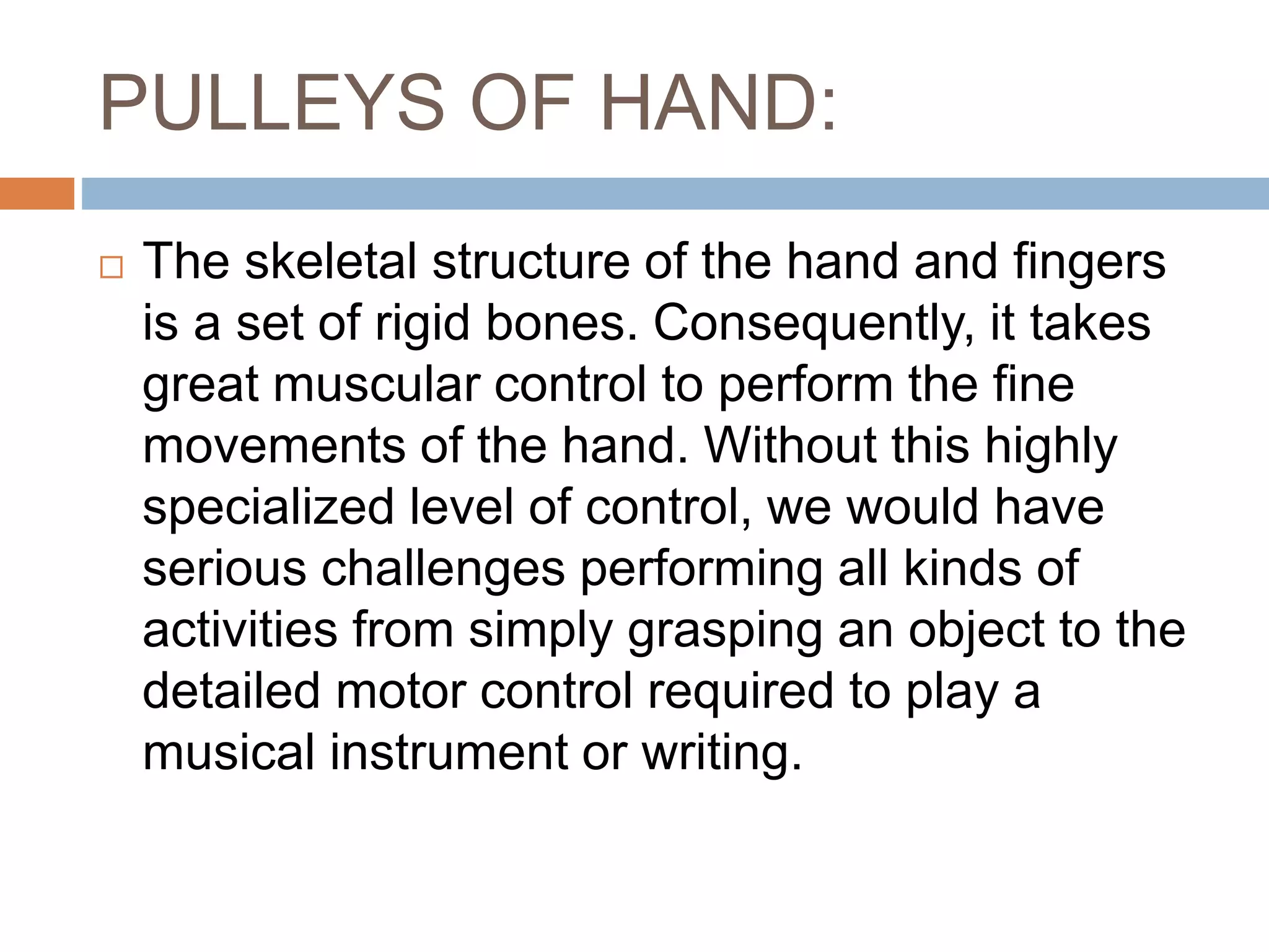 ANATOMICAL PULLEYS.ppt
