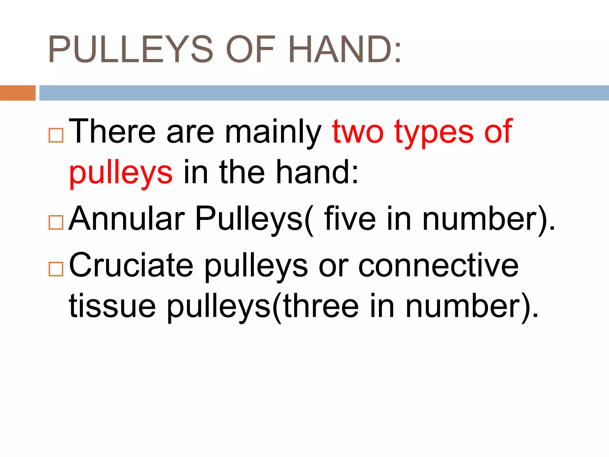 ANATOMICAL PULLEYS.ppt