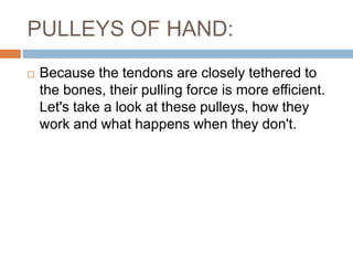 ANATOMICAL PULLEYS.ppt