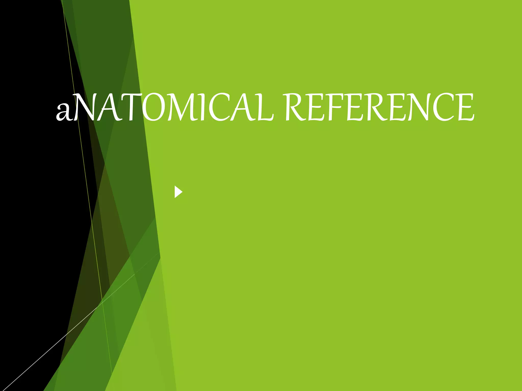 Anatomical reference-1.pptx