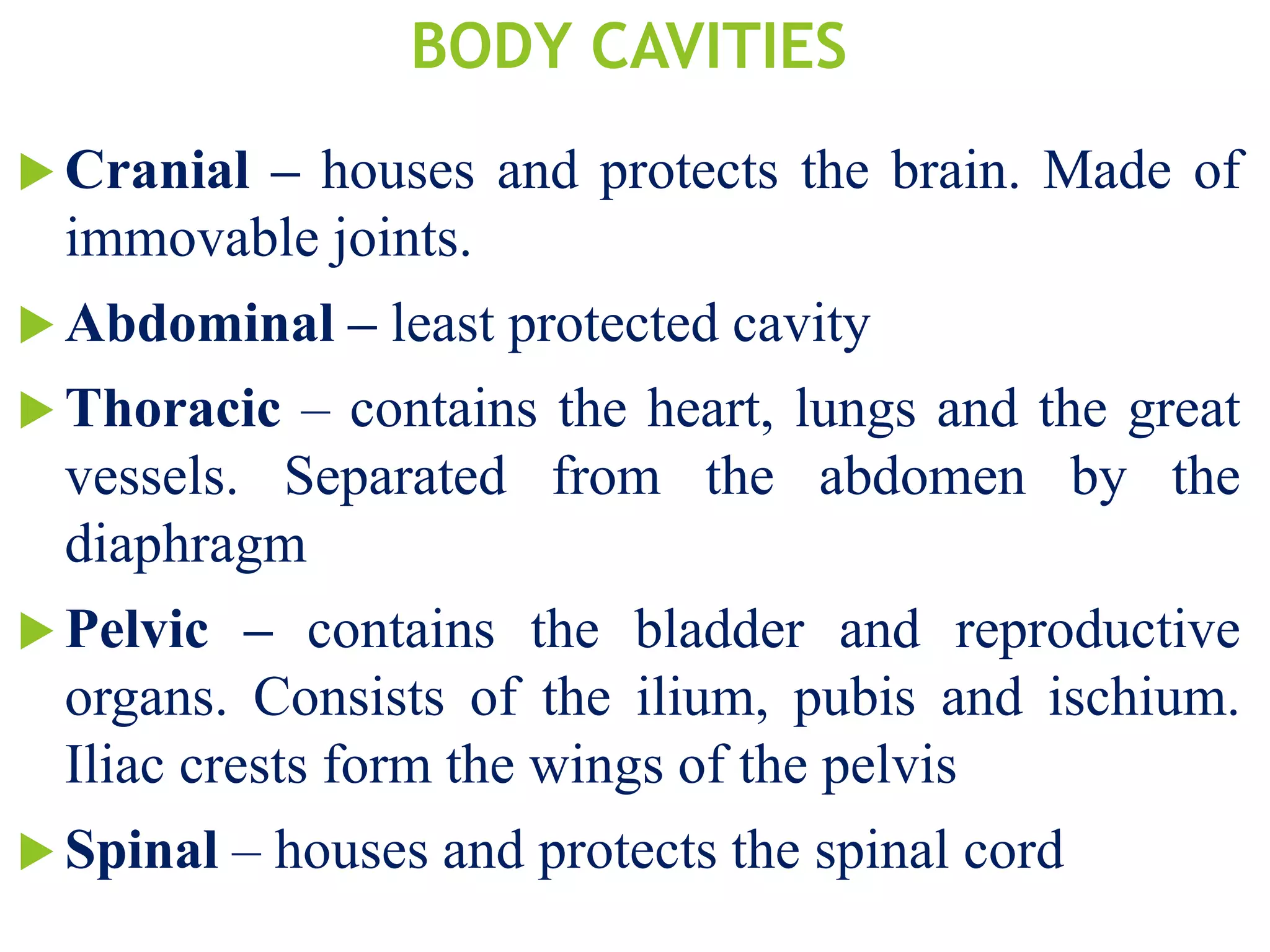 Anatomical reference-1.pptx