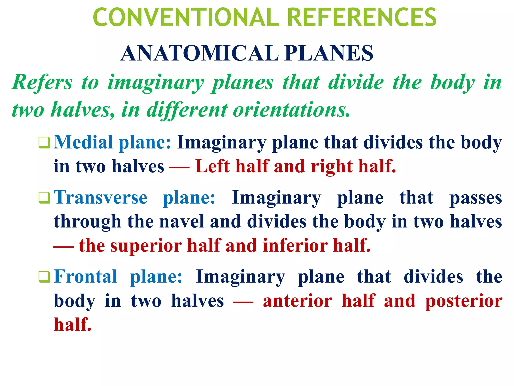Anatomical reference-1.pptx