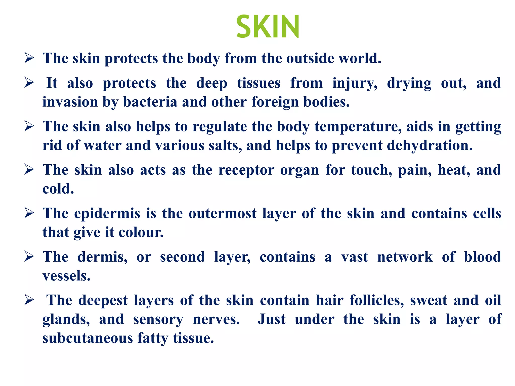 Anatomical reference-1.pptx