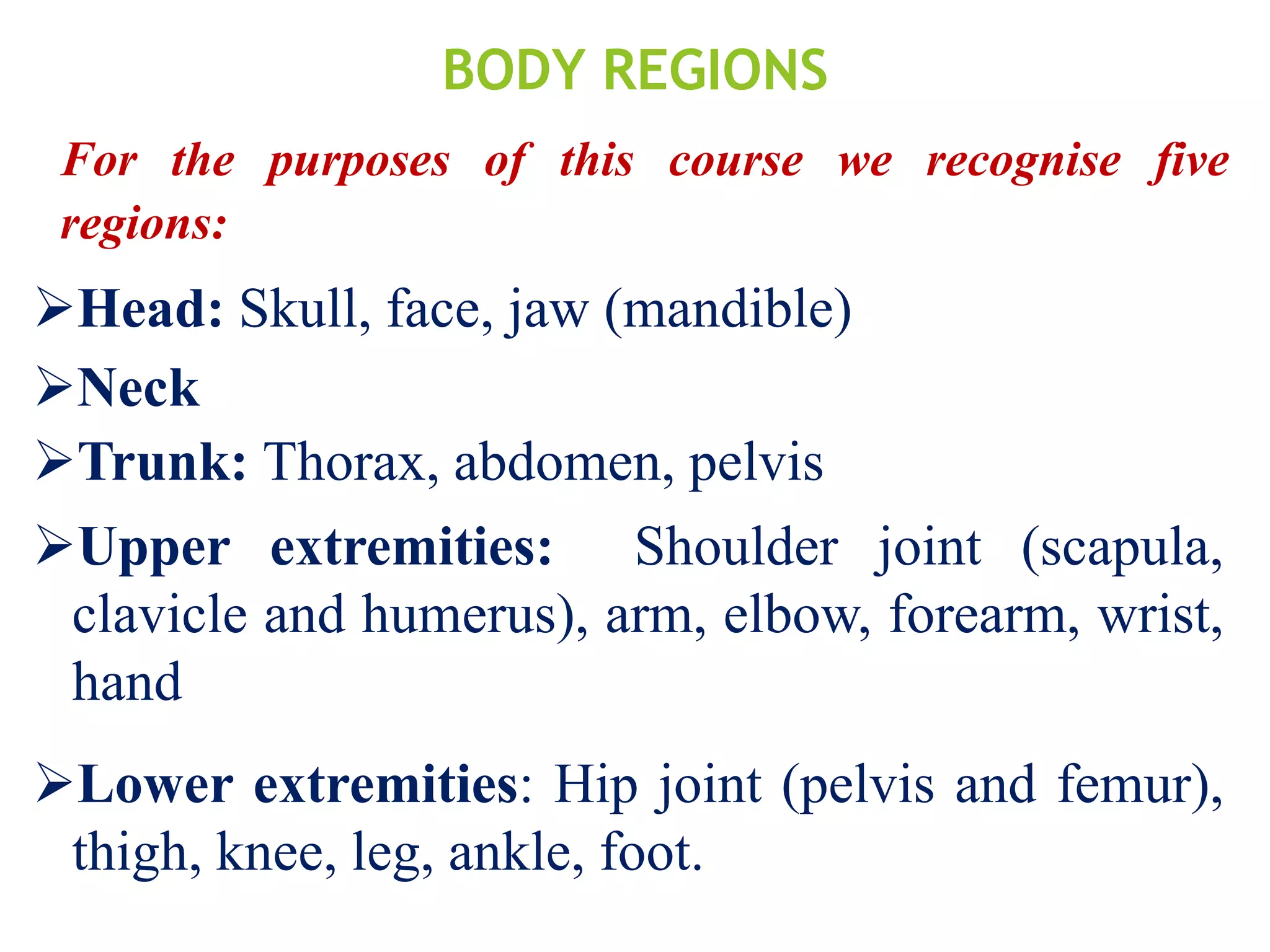Anatomical reference-1.pptx