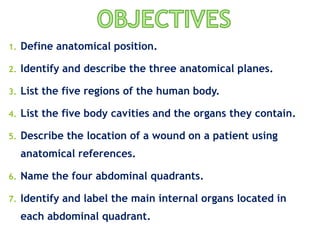 Anatomical reference-1.pptx