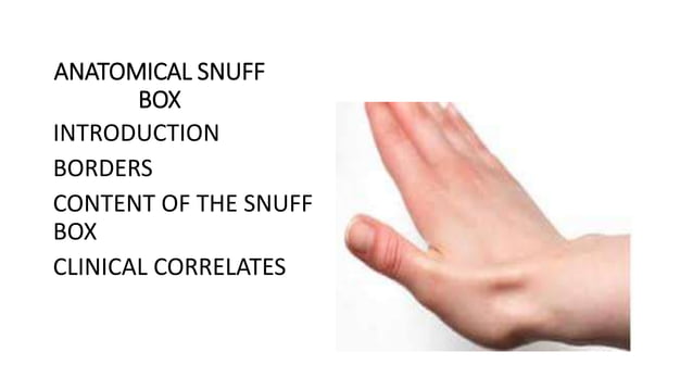ANATOMICAL SNUFF BOX.pptx