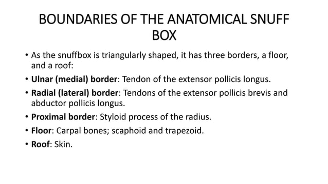 ANATOMICAL SNUFF BOX.pptx