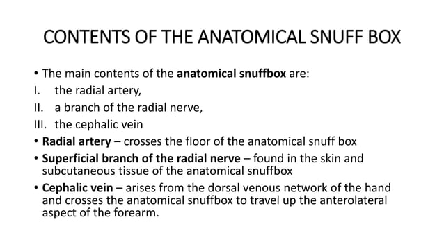 ANATOMICAL SNUFF BOX.pptx