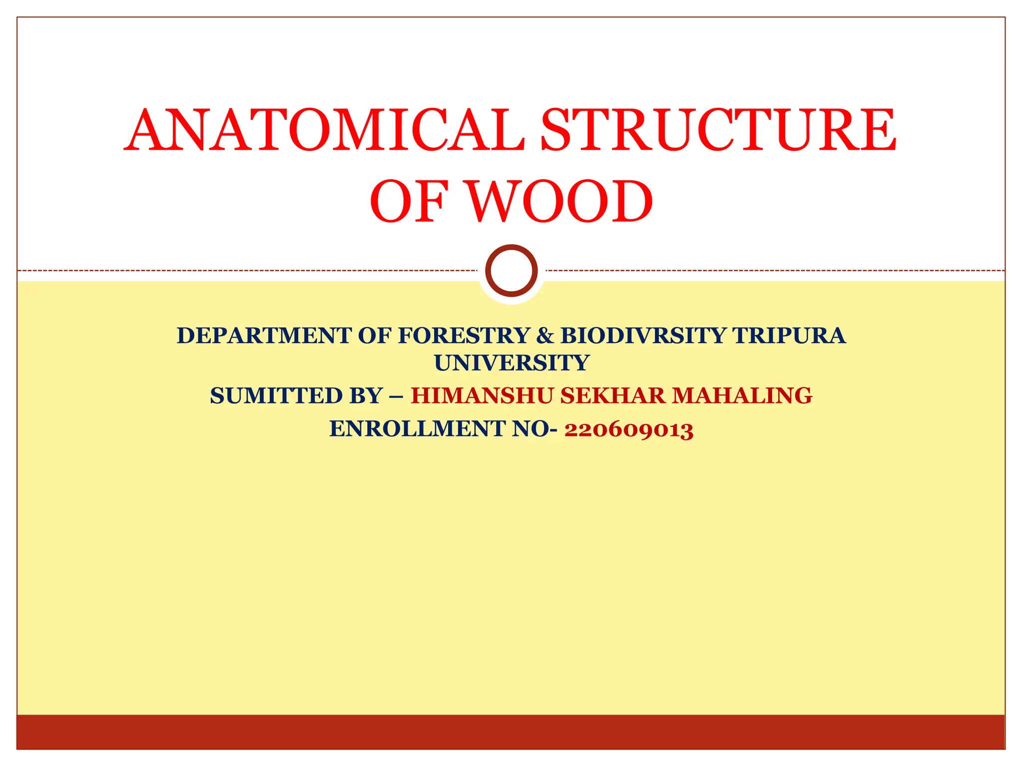 ANATOMICAL STRUCTURE OF WOOD H.S.Mahaling.ppt