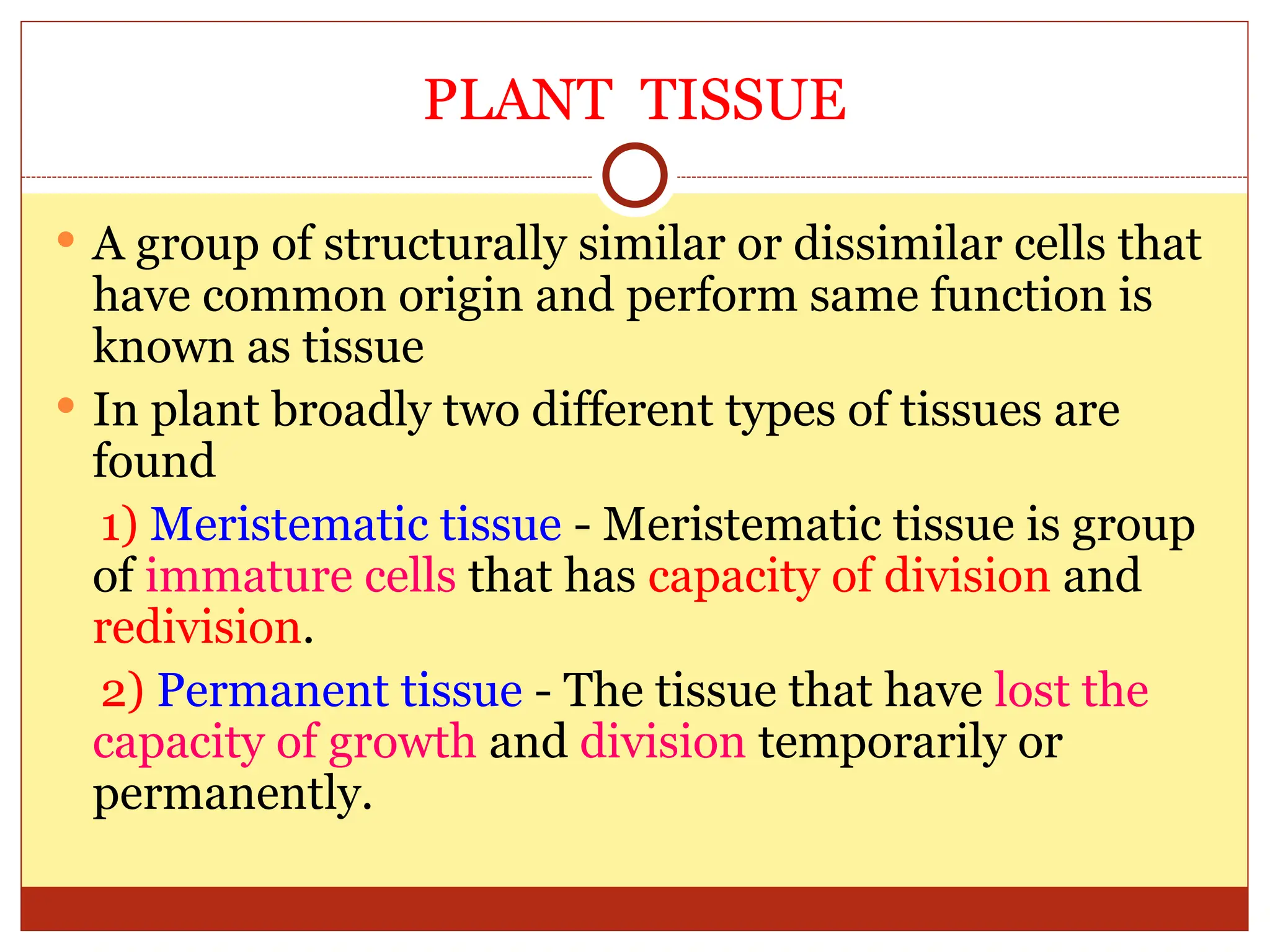 ANATOMICAL STRUCTURE OF WOOD H.S.Mahaling.ppt