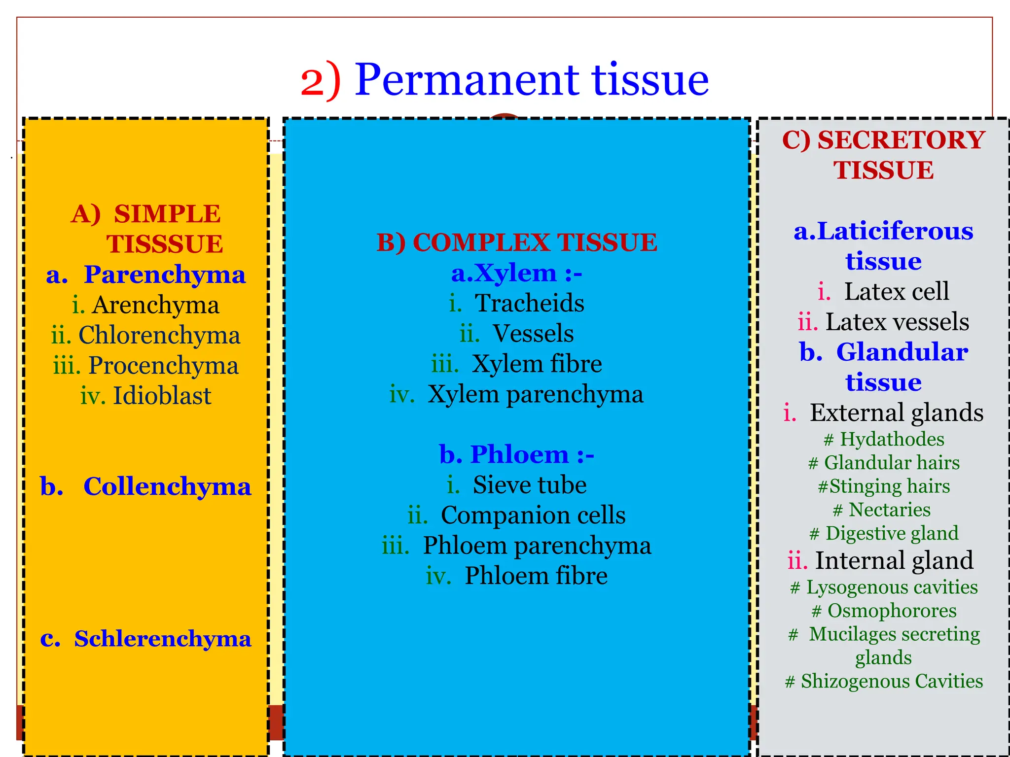 ANATOMICAL STRUCTURE OF WOOD H.S.Mahaling.ppt