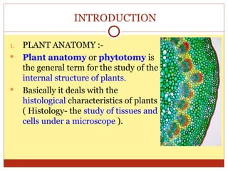 ANATOMICAL STRUCTURE OF WOOD H.S.Mahaling.ppt