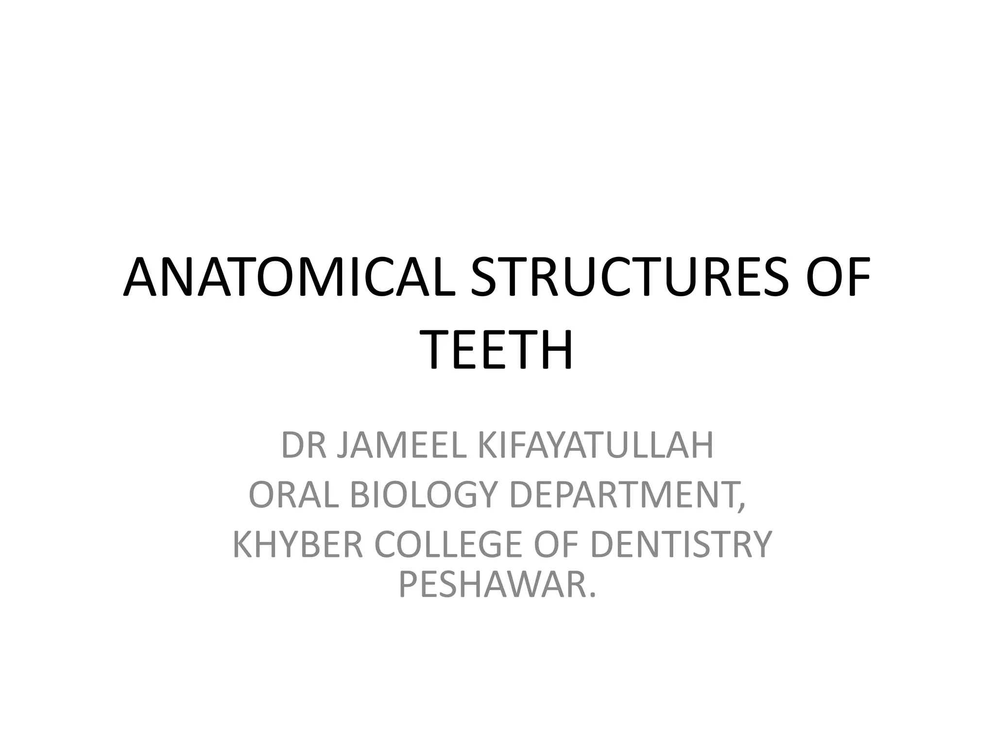 Anatomical structures of teeth | PPTX