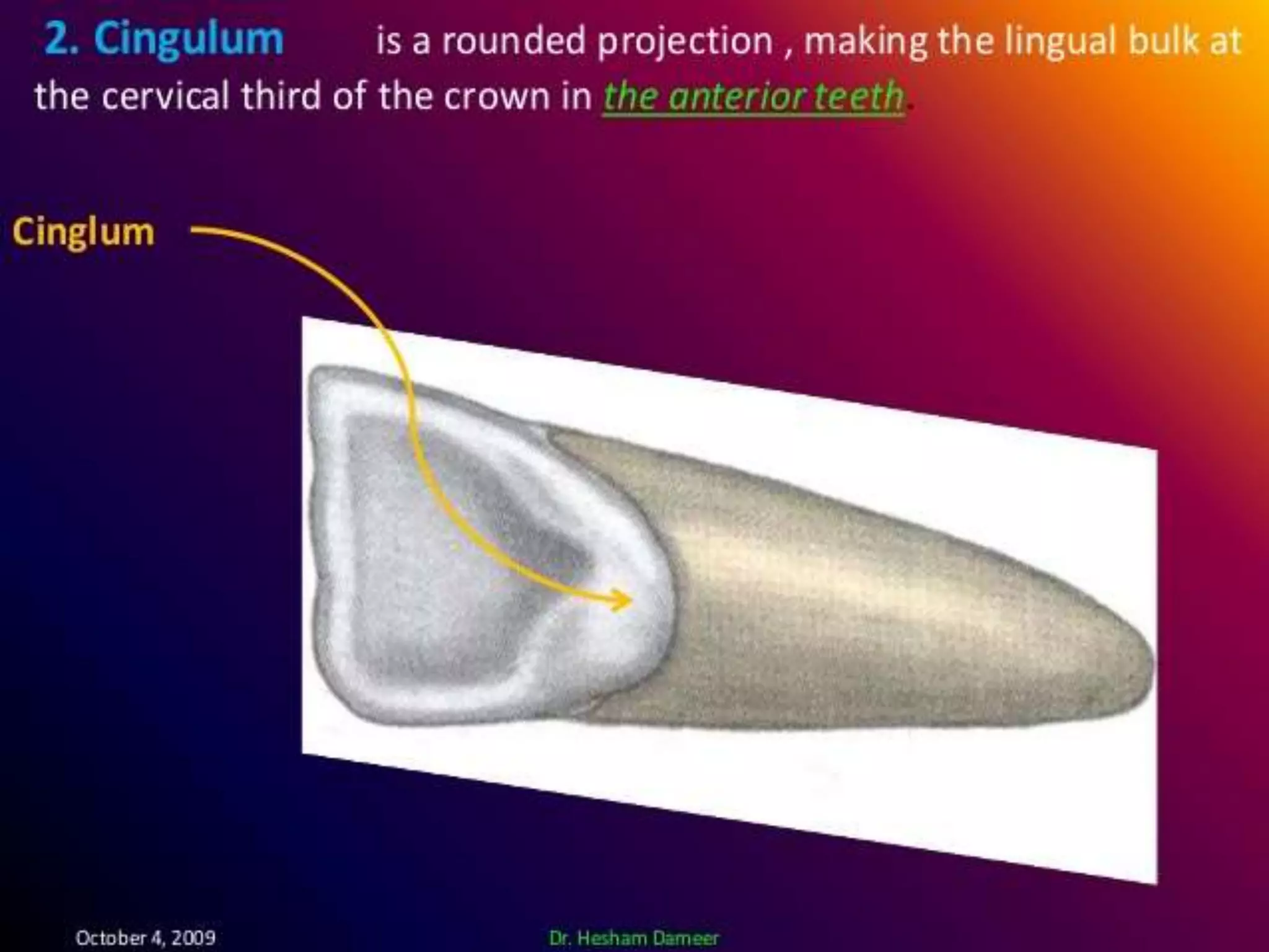 Anatomical structures of teeth | PPTX
