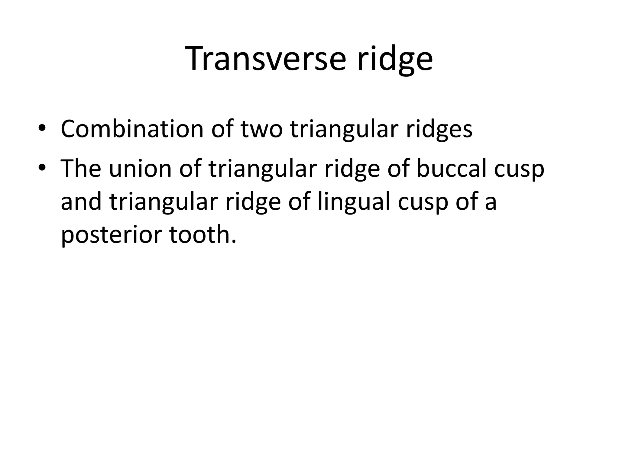 Anatomical structures of teeth | PPTX