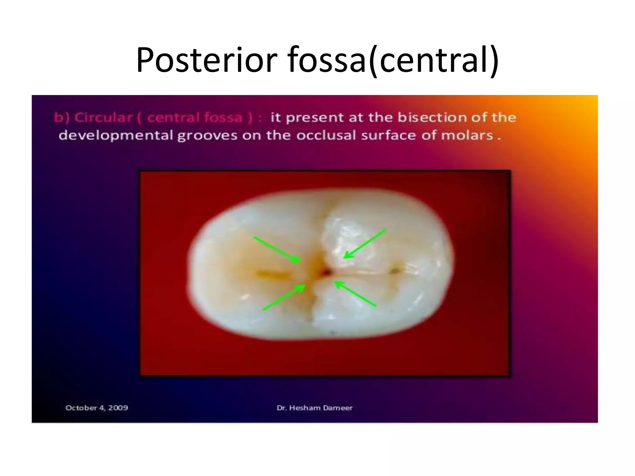 Anatomical structures of teeth | PPTX