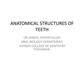 Anatomical structures of teeth | PPTX