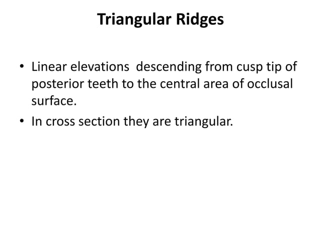 Anatomical structures of teeth | PPTX