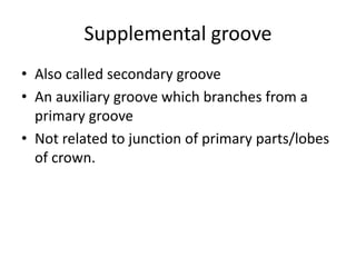 Anatomical structures of teeth | PPTX