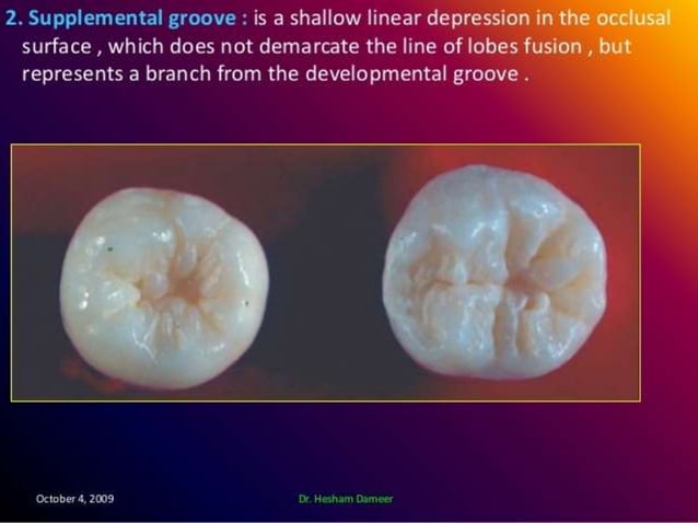 Anatomical structures of teeth | PPTX