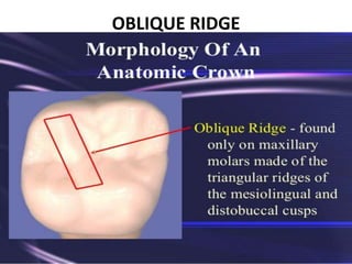 Oblique Ridge