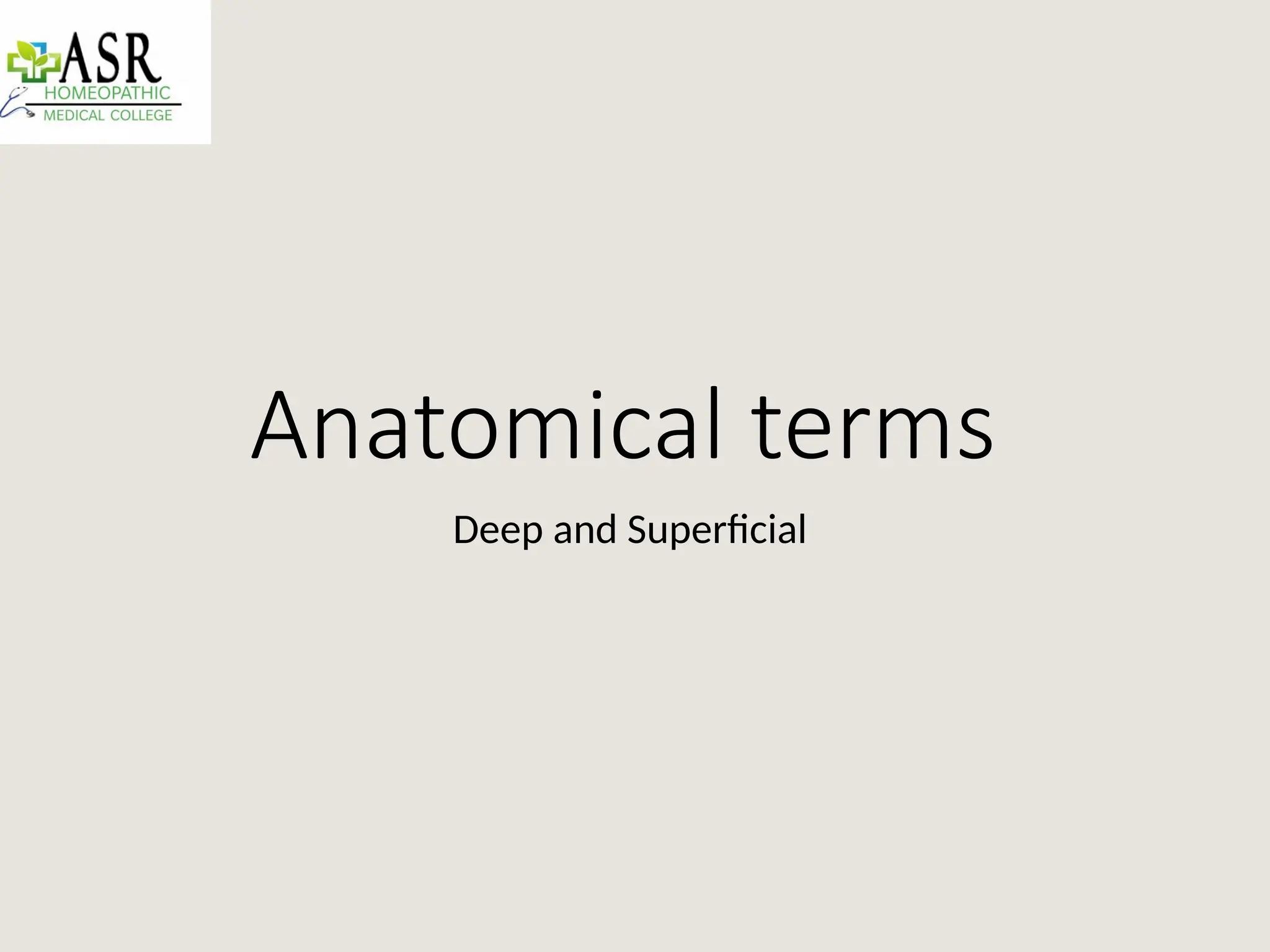 Anatomical terms - Deep and Superficial | PPTX