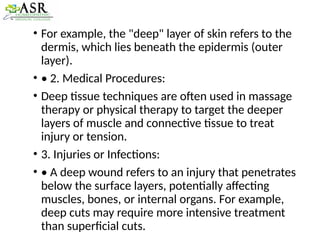 Anatomical terms - Deep and Superficial | PPT