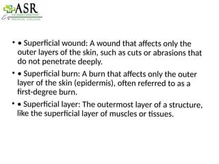 Anatomical terms - Deep and Superficial | PPT