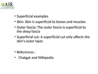 Anatomical terms - Deep and Superficial | PPT