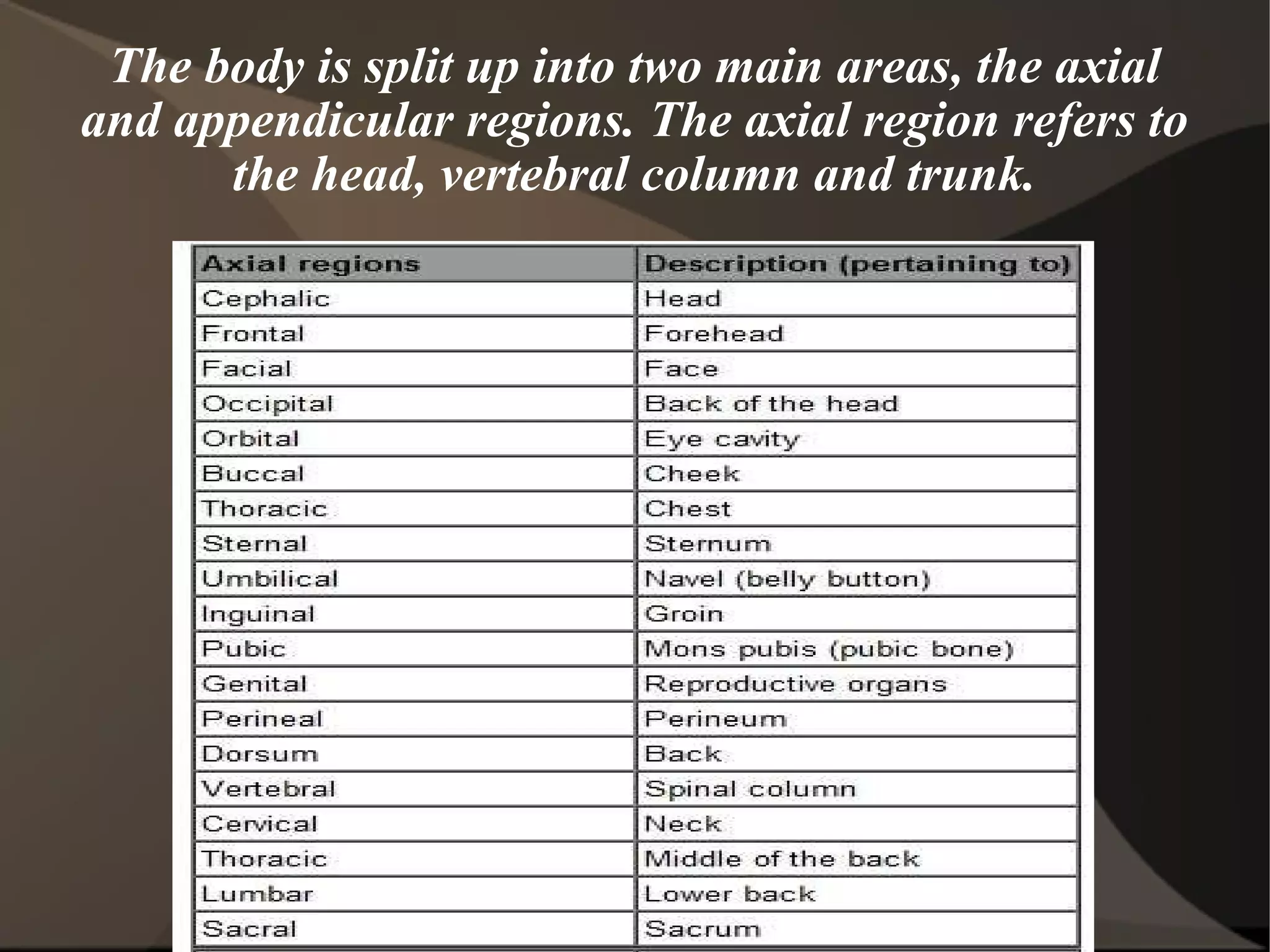 Anatomical terminology | PPT