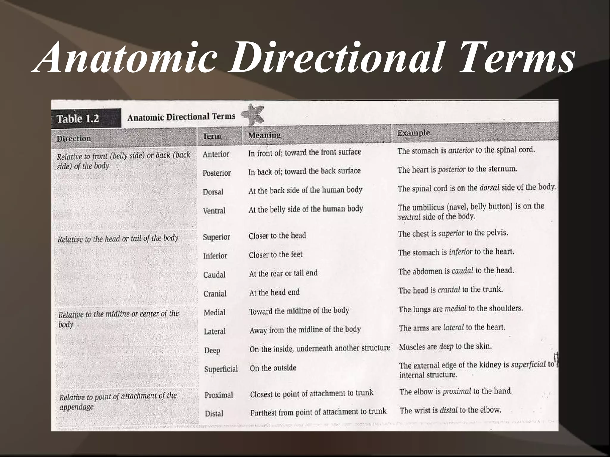 Anatomical terminology | PPT