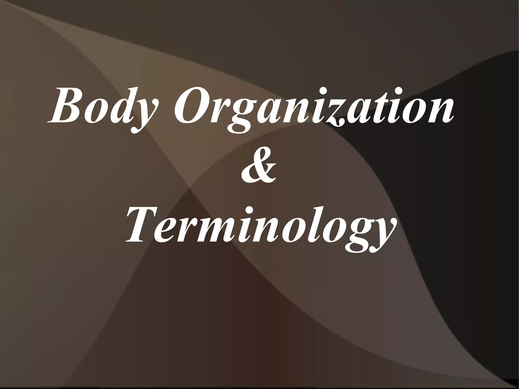 Anatomical terminology | PPT