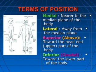 Anatomical Terminology - Anatomy | PPT