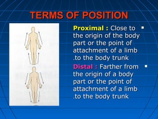 Anatomical Terminology - Anatomy | PPT