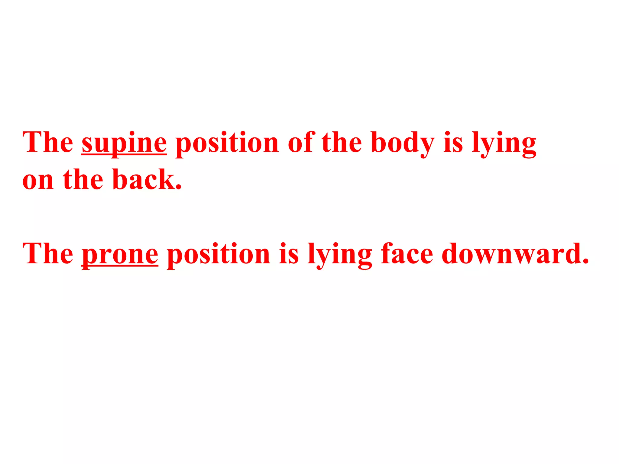 Anatomical terminology | PPT