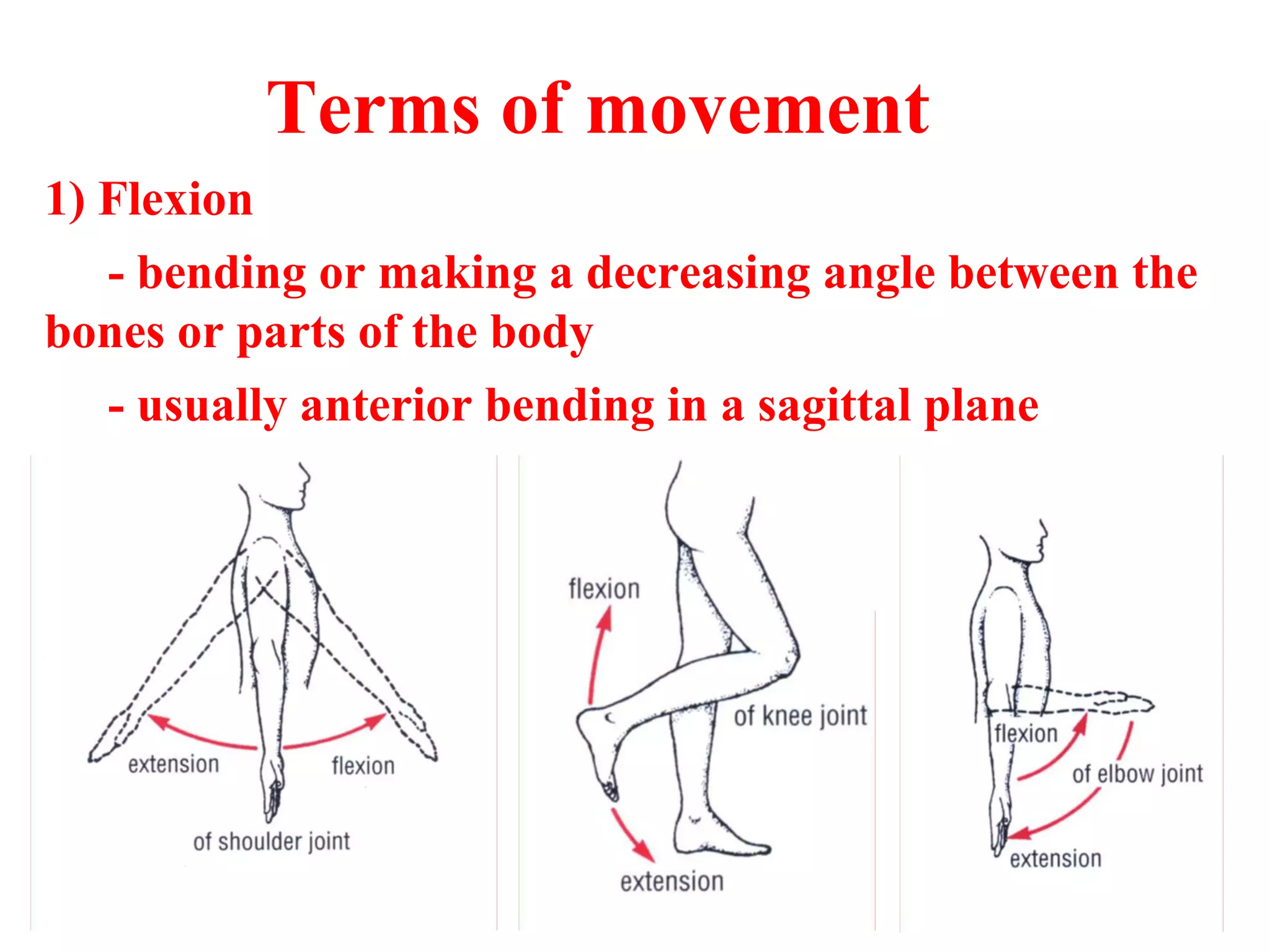 Anatomical terminology | PPT