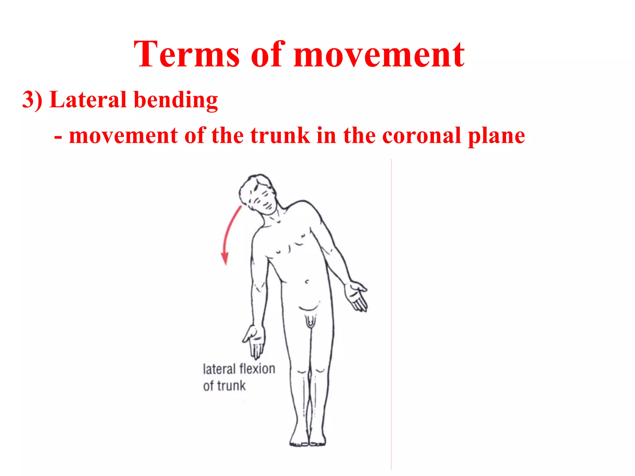 Anatomical terminology | PPT