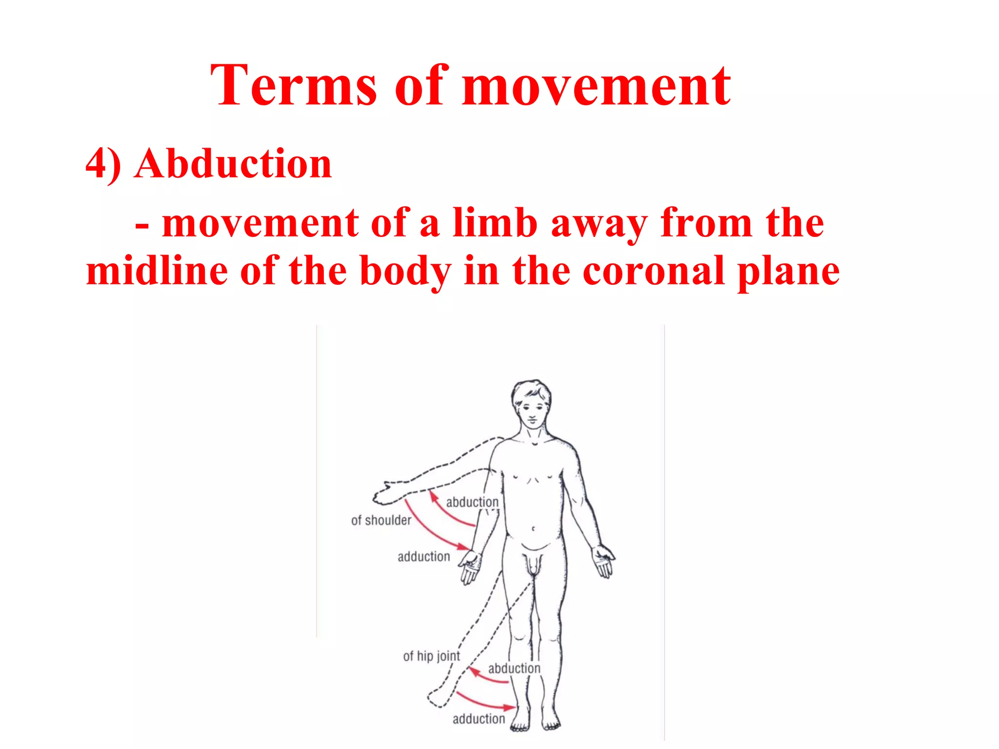 Anatomical terminology | PPT
