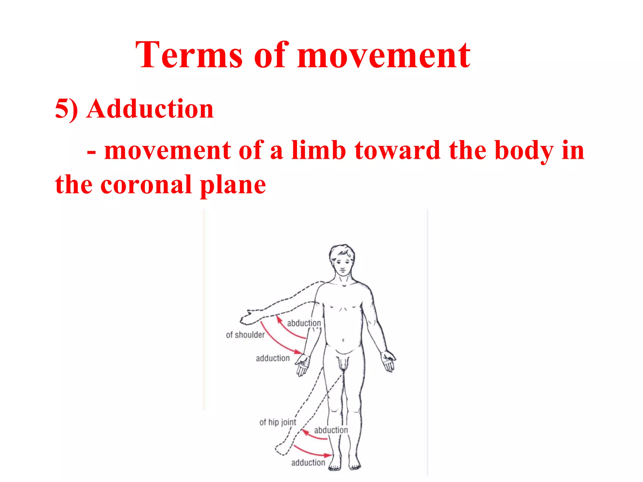 Anatomical terminology | PPT