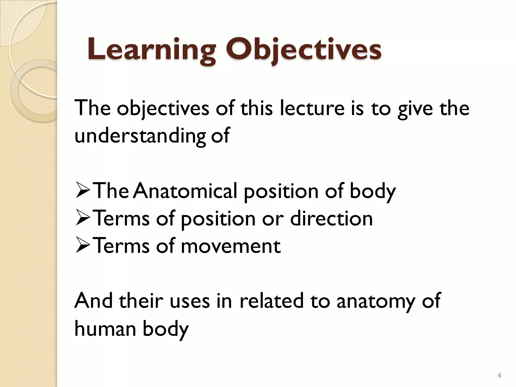 Anatomical terminology | PDF