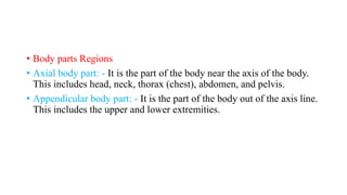 anatomical terminology.pptx